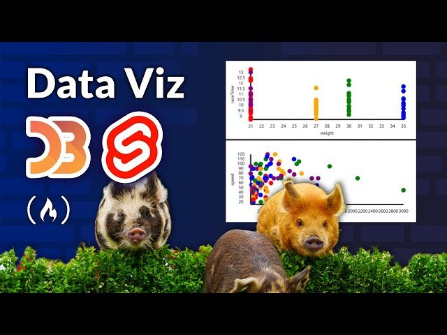 Free Video: Data Visualization with Svelte and D3 Tutorial - Custom and Interactive Data ...