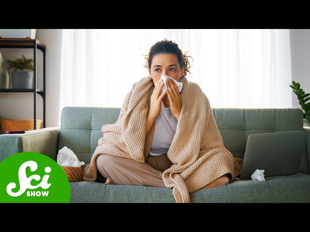 Free Video: The Flu May Cause Alzheimer's and Other Neurodegenerative Diseases from SciShow ...