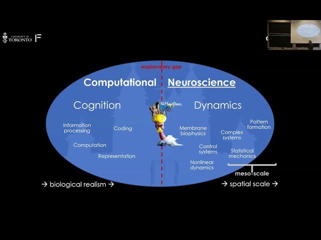 Free Video: Introduction to Mathematical Neuroscience - Lecture 07 from Fields Institute | Class ...