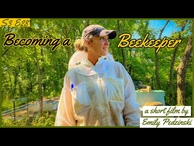 Free Video: First Year Beekeeping: Common Mistakes and Learning ...