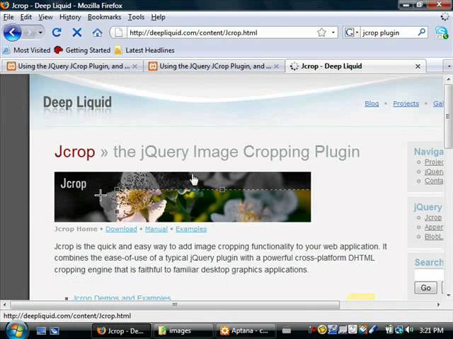 Free Video: Working With the jCrop Plugin - Image Cropping with jQuery from Envato Tuts+ | Class ...