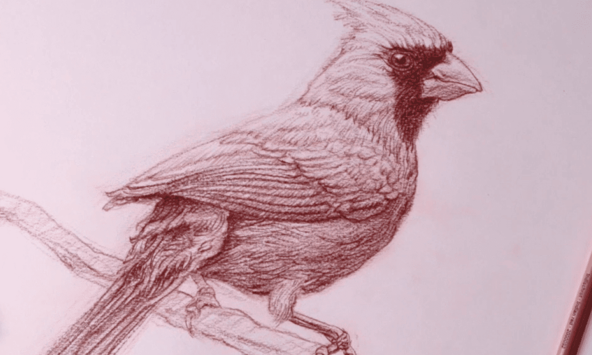 Online Course: How to Draw: A Beginner’s Guide Pt 3 – Drawing in ...