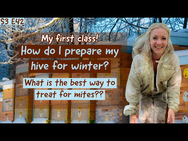 Free Video: The 5 Keys to Over-Wintering Success and Varroa Treatments ...