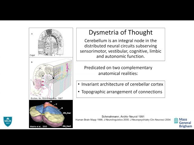 Free Video: BrainMap - The Complementary Roles of Clinical ...