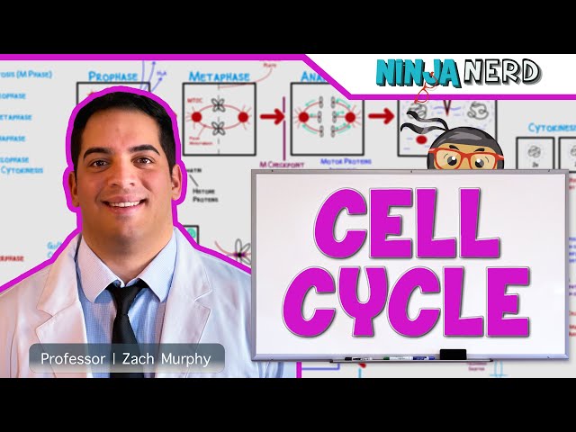 Free Video: Cell Biology - Complete Course on Cellular Structure ...