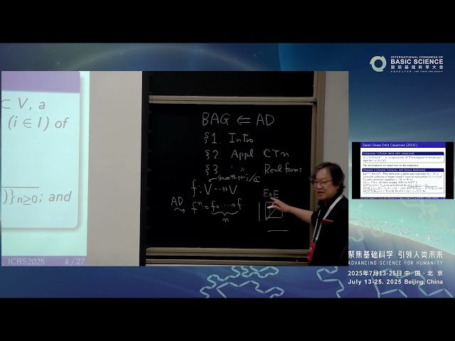 Free Video Symmetries Of Projective Varieties In The View Of Birational Geometry And Algebraic