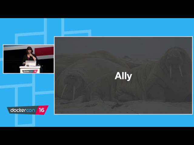 Free Video: Making Friendly Microservices: Crafting a Great Developer Experience from Docker ...