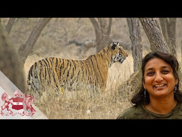 Free Video: How Genetics Explain Tigers and Secure Their Future from ...