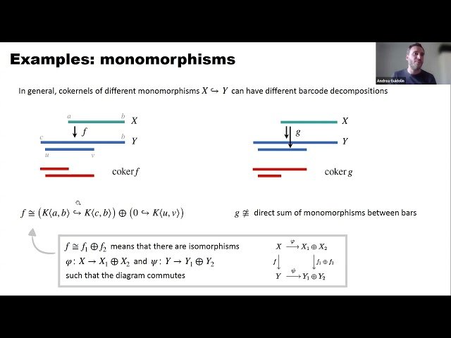 Free Video: Barcode Matchings and p-Norms of Persistence Modules from Applied Algebraic Topology ...