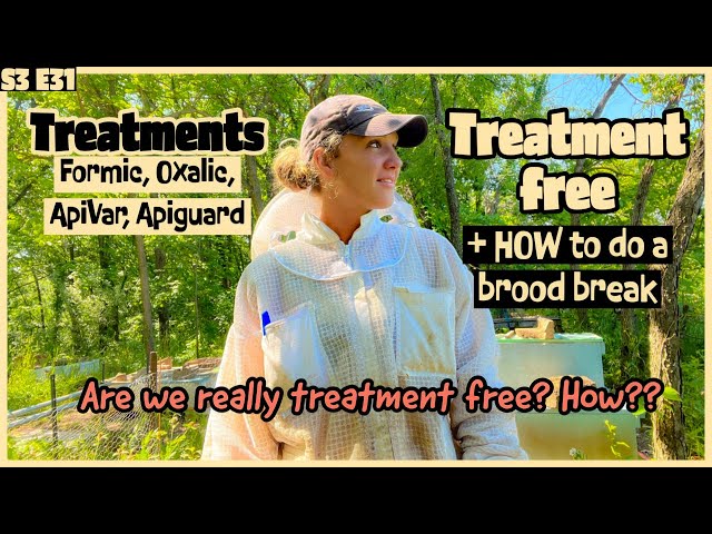 Free Video: Treatment Options for Varroa Mites in Beekeeping - A ...