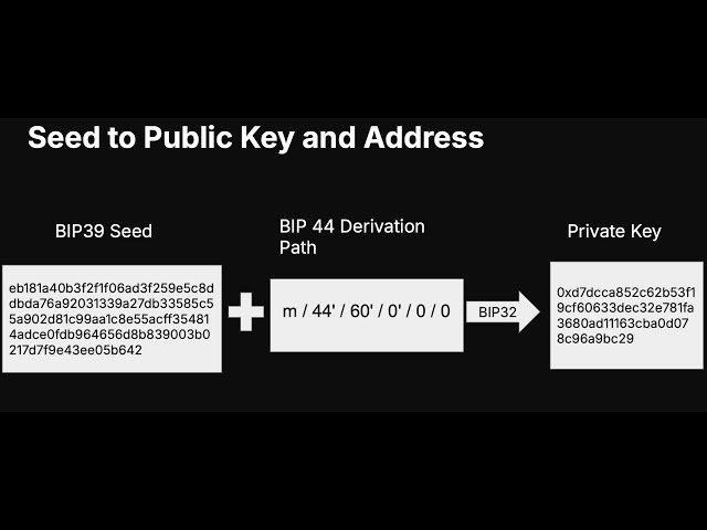 Free Video: Seed Phrases, Derivation Paths, Private Keys, Signatures ...