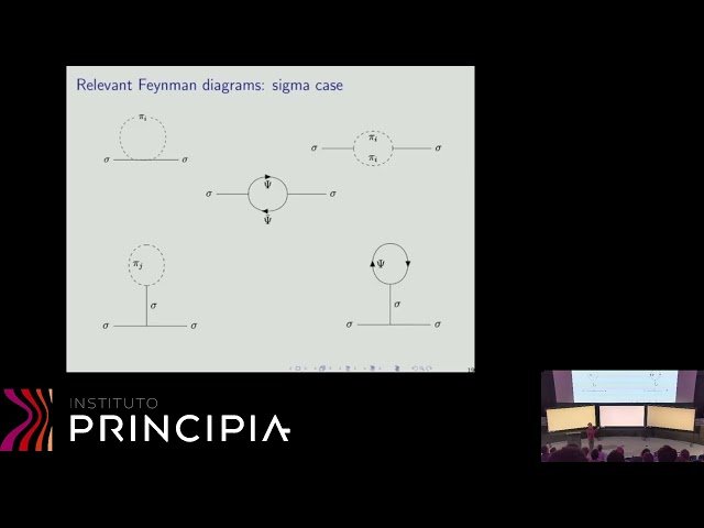 Free Video: Neutral Pion Screening Masses, Hyperon Relaxation in Heavy ...
