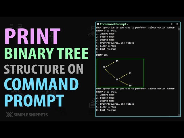 Free Video: Printing Binary Tree Data Structure Graphically on Command Prompt - DSA from Simple ...