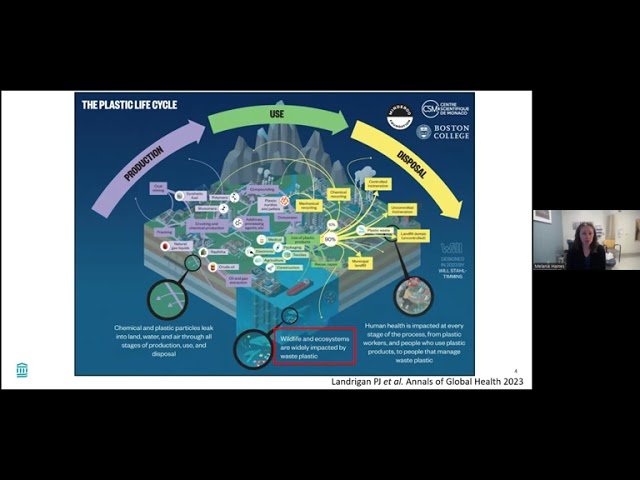 Free Video: Health Effects of Plastics and PFAS from MassGeneralHospital | Class Central