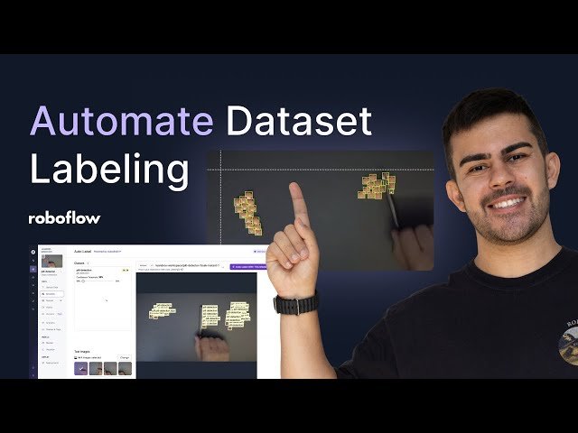 Free Video: Auto Labeling Image Data - How to Annotate a Dataset and Train a Vision AI Model ...