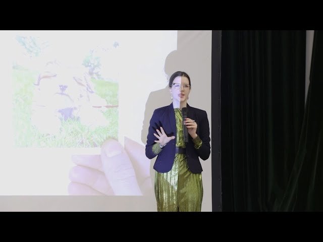 TEDx Talk: Why Are We Attracted to Shiny Objects? from TEDx | Class Central