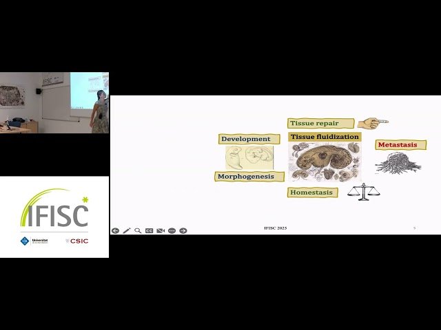 Free Video: Cell Tissue Dynamics due to Topological Changes and ...