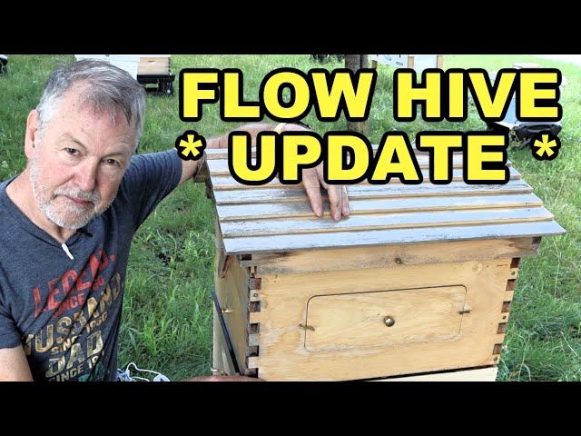 Free Video: Beekeeping: How to Know When to Harvest Honey from David Burns | Class Central