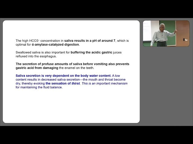 Free Video: Secretory Functions of Alimentary Tract - Part 1 from NPTEL ...