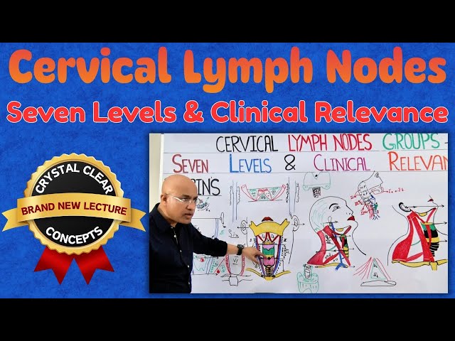 Free Video: Cervical Lymph Nodes - Seven Levels by Robbins and Clinical ...