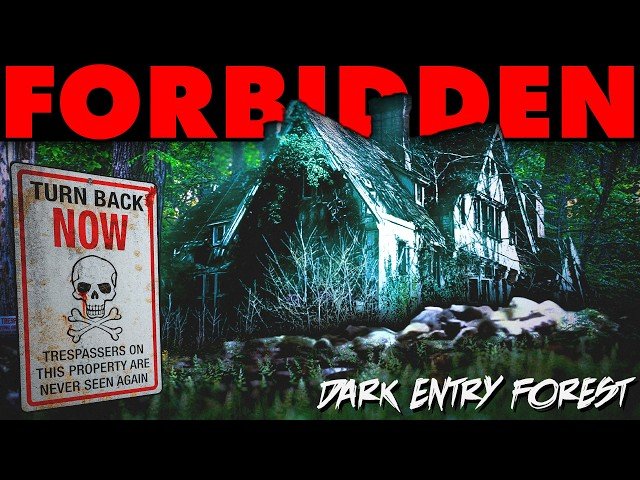 Free Video: Why Dark Entry Forest is Totally Forbidden - The Mystery of ...