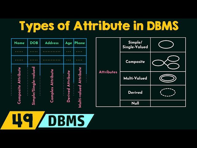 Free Video: Types of Attributes in Database Management Systems (DBMS ...