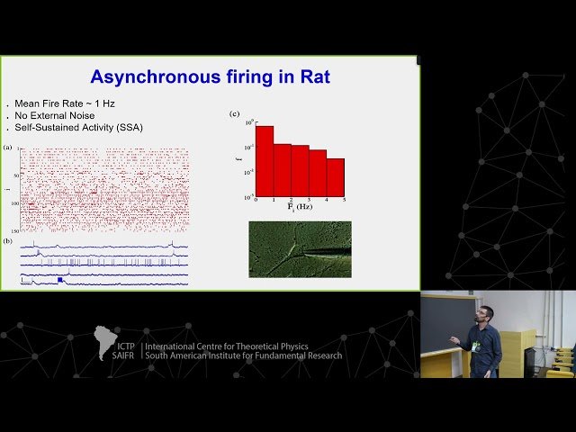 Free Video: Self-Sustained Activity and Intermittent Synchronization in ...
