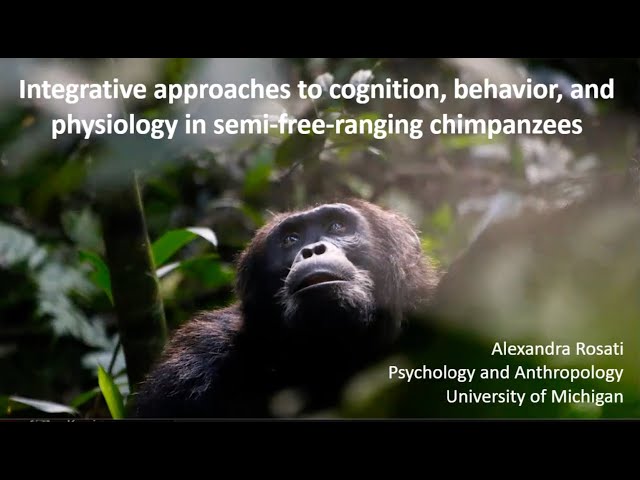 Free Video: Integrative Approaches to Cognition, Behavior, and Physiology in Semi-Free-Ranging ...