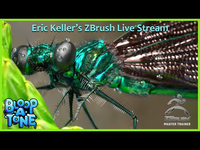Free Video: Insect Inspired Creature Sculpting - Lynx Spider from ...