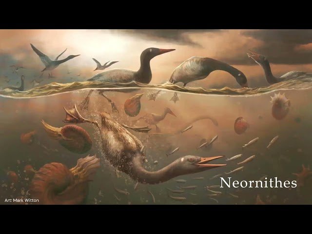 Free Video: Cretaceous Arctic Birds from the Prince Creek Formation of ...