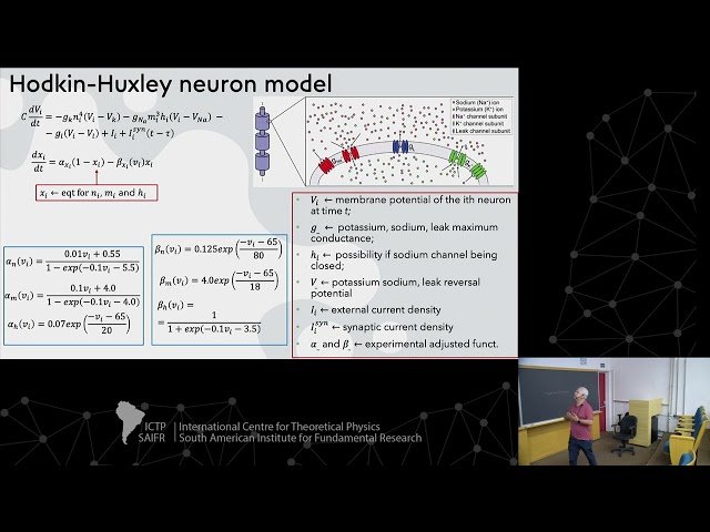 Free Video: The Effect of Time Delay for Synchronization Suppression in Neuronal Networks from ...