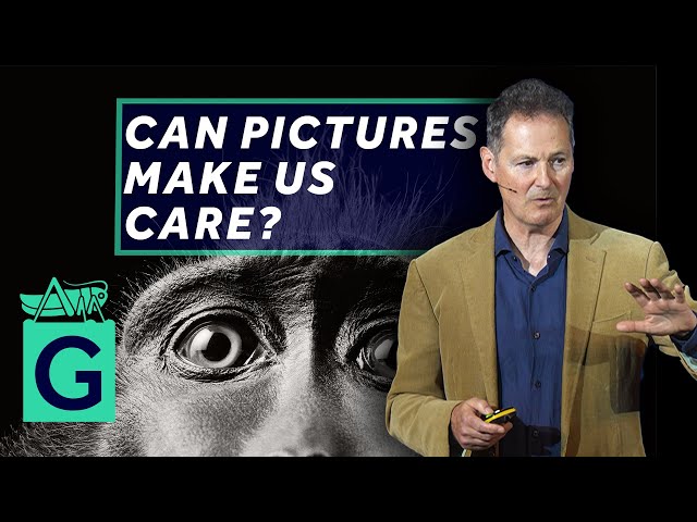 Free Video: Evoking Empathy through Animal Portraiture from Gresham ...