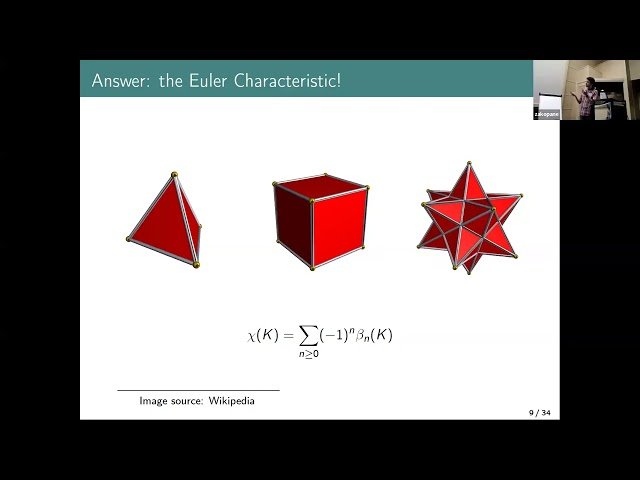 Free Video: Euler Characteristic Curves and Profiles from Banach Center | Class Central