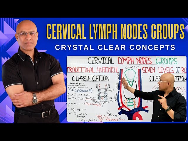 Free Video: Cervical Lymph Node Groups - Anatomy and Clinical ...