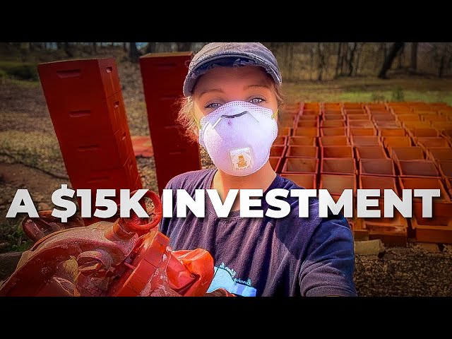 Free Video: Scaling Up Your Bee Business: Prepping 300 Boxes For Bees ...