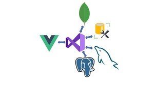 Online Course: Vue JS and .NET Core Web API Full Stack Master Course ...