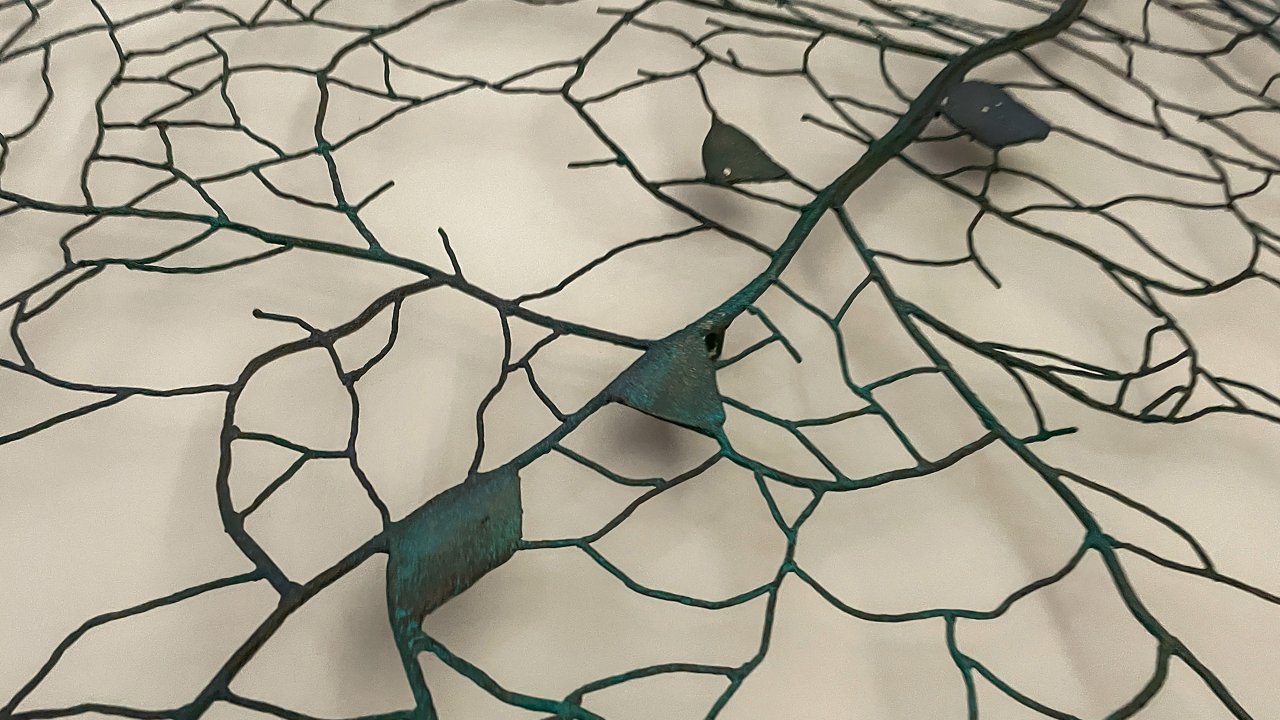 Free Course: Sustainability and Sustainable Development: an ...