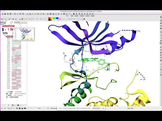 Free Video: An Introduction to the ICM-Pro Graphical User Interface ...