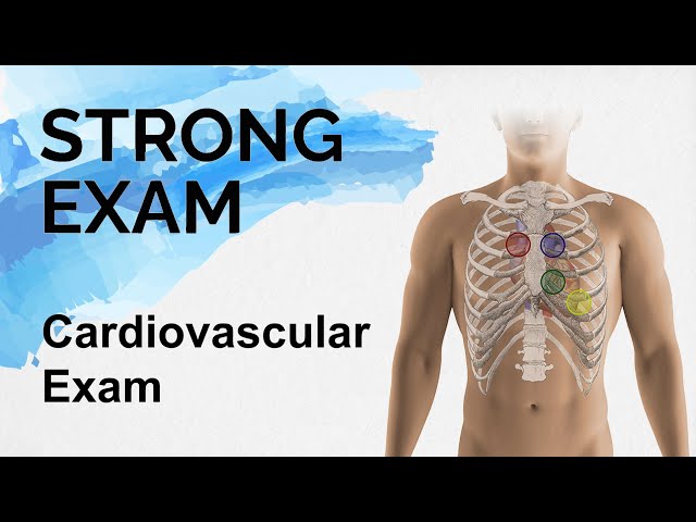 Free Video: Comprehensive Cardiovascular Examination and Heart Sounds ...