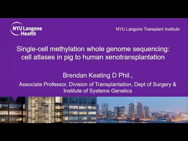 Free Video: Single-Cell Methylation Whole Genome Sequencing: Cell ...
