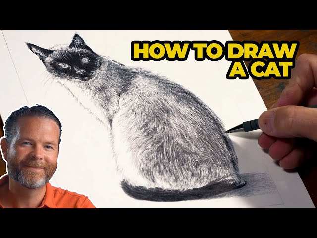 Free Video: How to Draw a Cat - Ballpoint Pen Drawing from Drawing ...