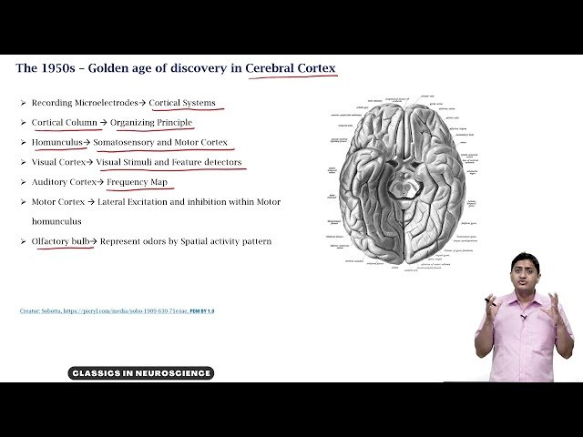 Free Video: The Cortical Column from NPTEL-NOC IITM | Class Central