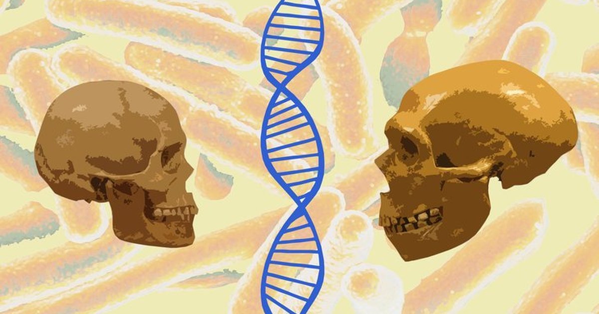 Free Course: Human Population Genetics from University of Kashmir ...