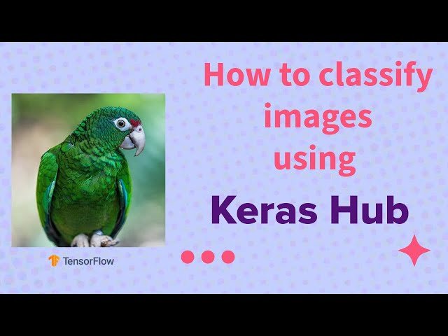 Free Video: How to Use Keras Hub for Image Classification from Eran Feit | Class Central