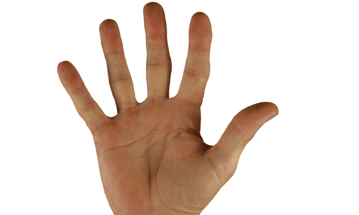 Online Course Hand Gesture Recognition Using Tensorflow And Keras From Coursera Project Network