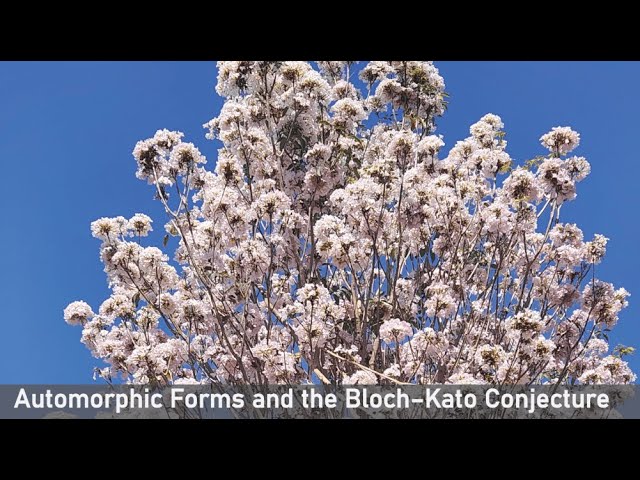 Free Video: Degenerate Automorphic Forms and Euler Systems - Part I ...