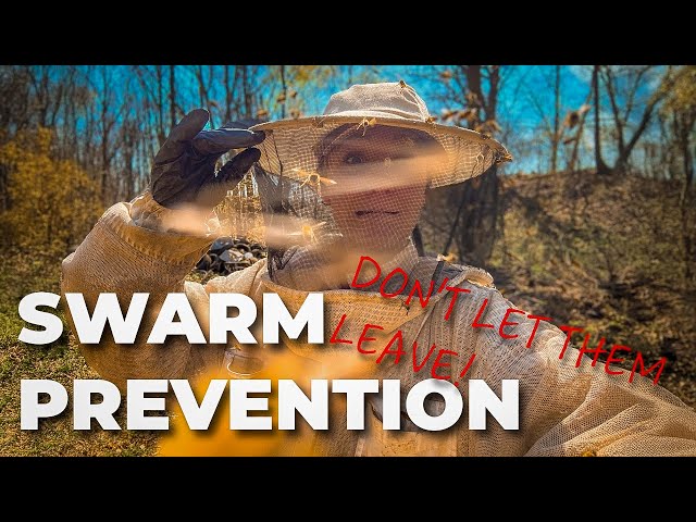 Free Video: STOP Losing Your Bees! Proven Tricks to Prevent Swarming ...
