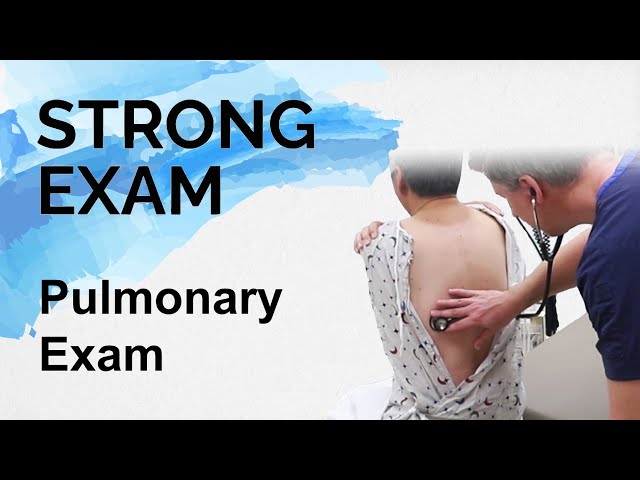 Free Video: The Pulmonary Exam and Lung Sounds - Comprehensive Guide ...