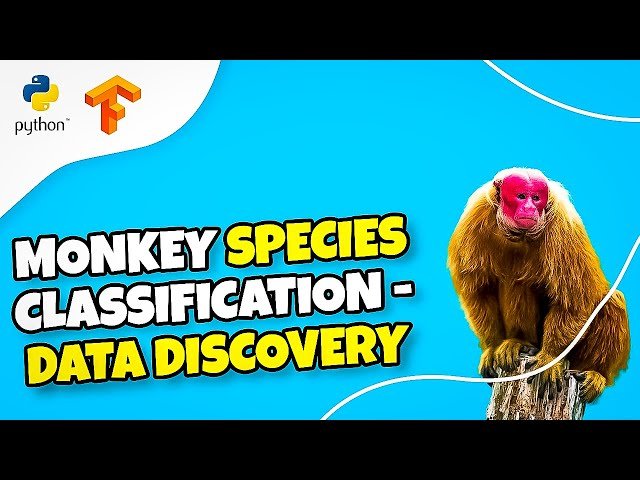 Free Video: Convolutional Neural Network - Monkey Species Classification from Eran Feit | Class ...