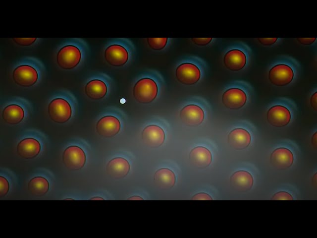 Free Video: Mathematical Biology: Pattern Formation in Biology ...